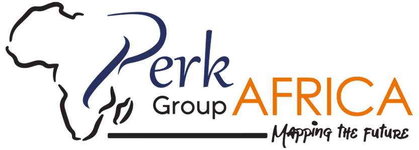 Data Management & Analysis Training Courses in Africa | Perk Group Africa